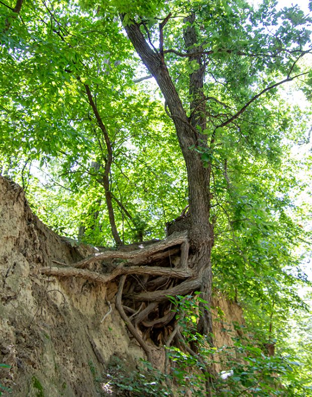 Fontenelle Forest Photography Club